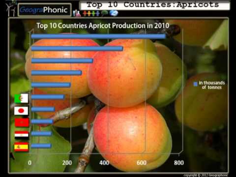 Top 10 Countries : Apricots Production - YouTube