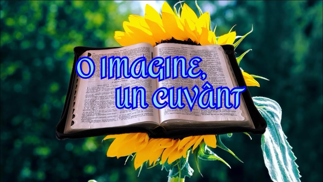 O IMAGINE, UN CUVÂNT - 27 08 2023 - YouTube
