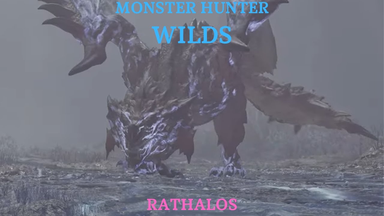 Monster Hunter Wilds Rathalos Gameplay PS5 - YouTube