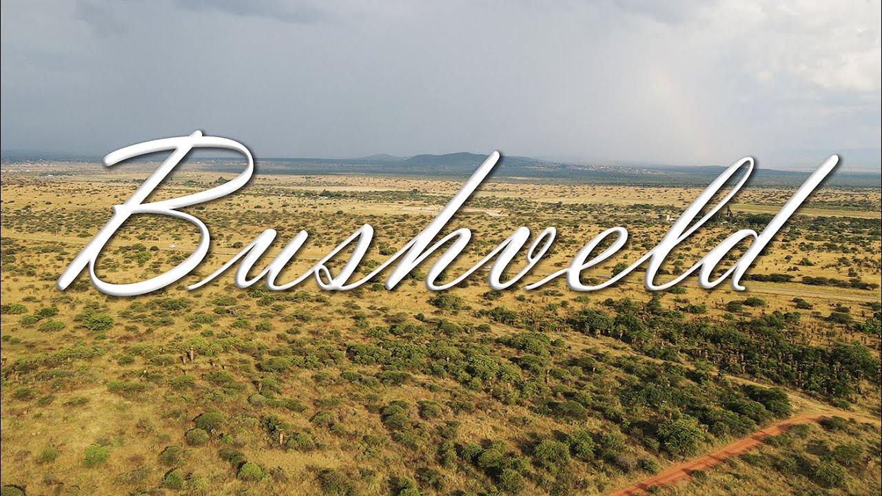 Bushveld Landscape (Limpopo South Africa) - YouTube