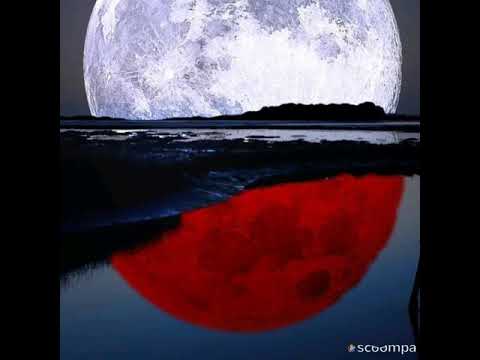 DÜNYA GELİP GEÇİCİ