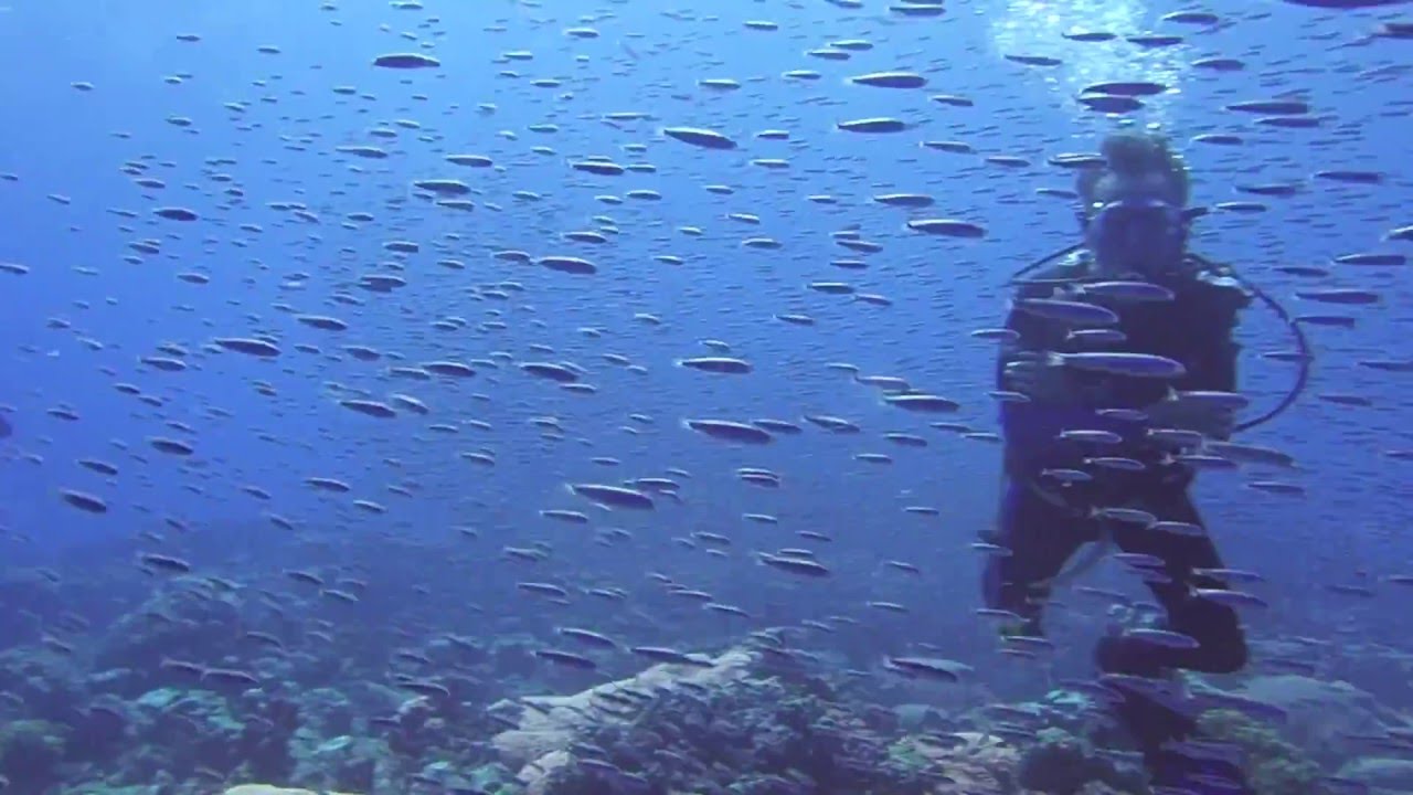 Dive Cocos Keeling Islands I - YouTube