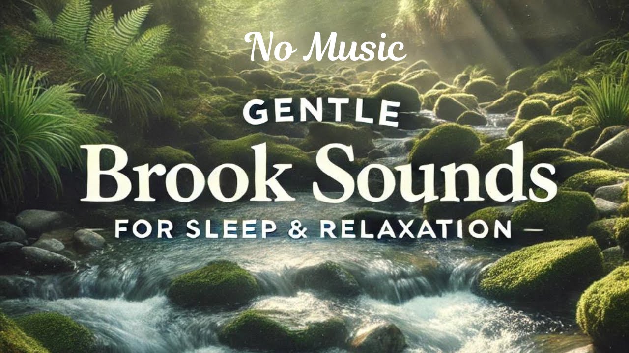 No Music | Gentle Brook Sounds for Sleep and Relaxation | Nature’s ...