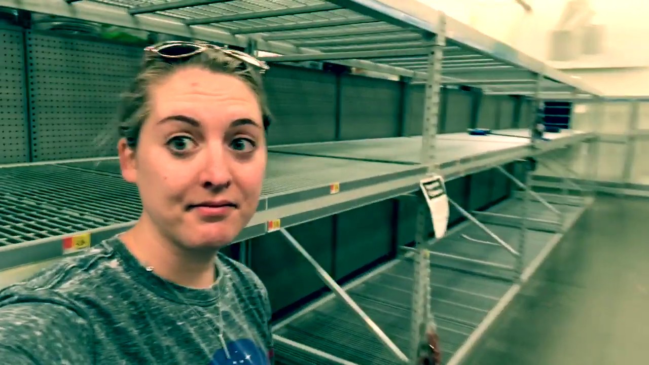 The Economics of Toilet Paper Panic - Corianne Beard, FSU - YouTube