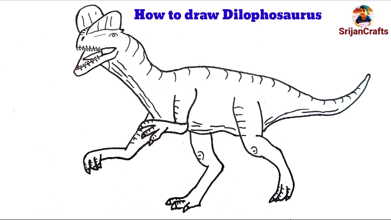 How To draw Dilophosaurus | Step by step | Dinosaur drawing | Colour ...