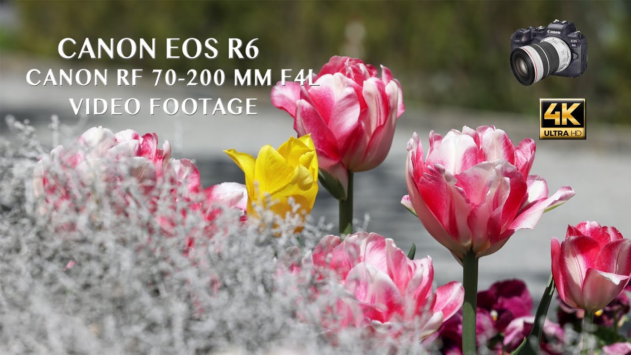 Canon EOS R6 - 4K Video footage with RF 70-200mm f4. - YouTube