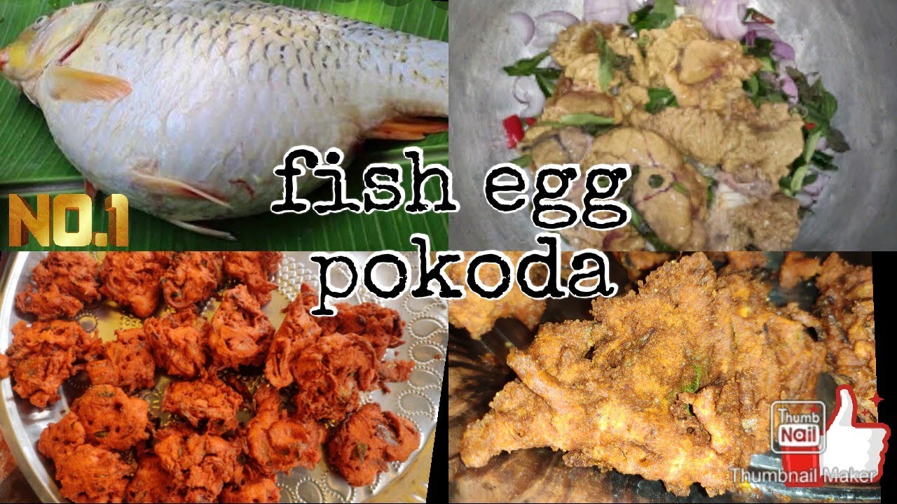 Fish egg pokoda/ fish egg dry fry/ crop fish egg spicy /fish egg fry ...