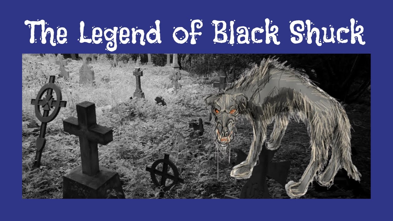 Black Shuck - The Ghostly Demon Hellhound of East Anglia - YouTube