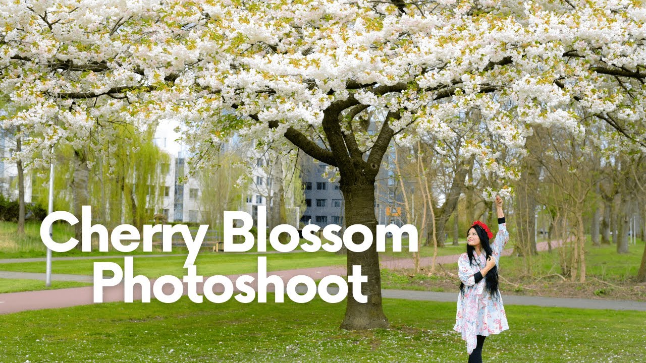 Cherry Blossom Photo Ideas | Sakura Photoshoot |Spring Photoshoot Ideas ...