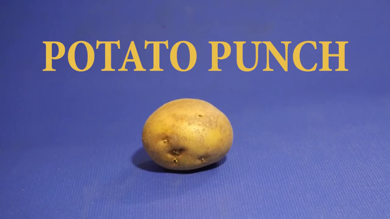 POTATO PUNCH - YouTube