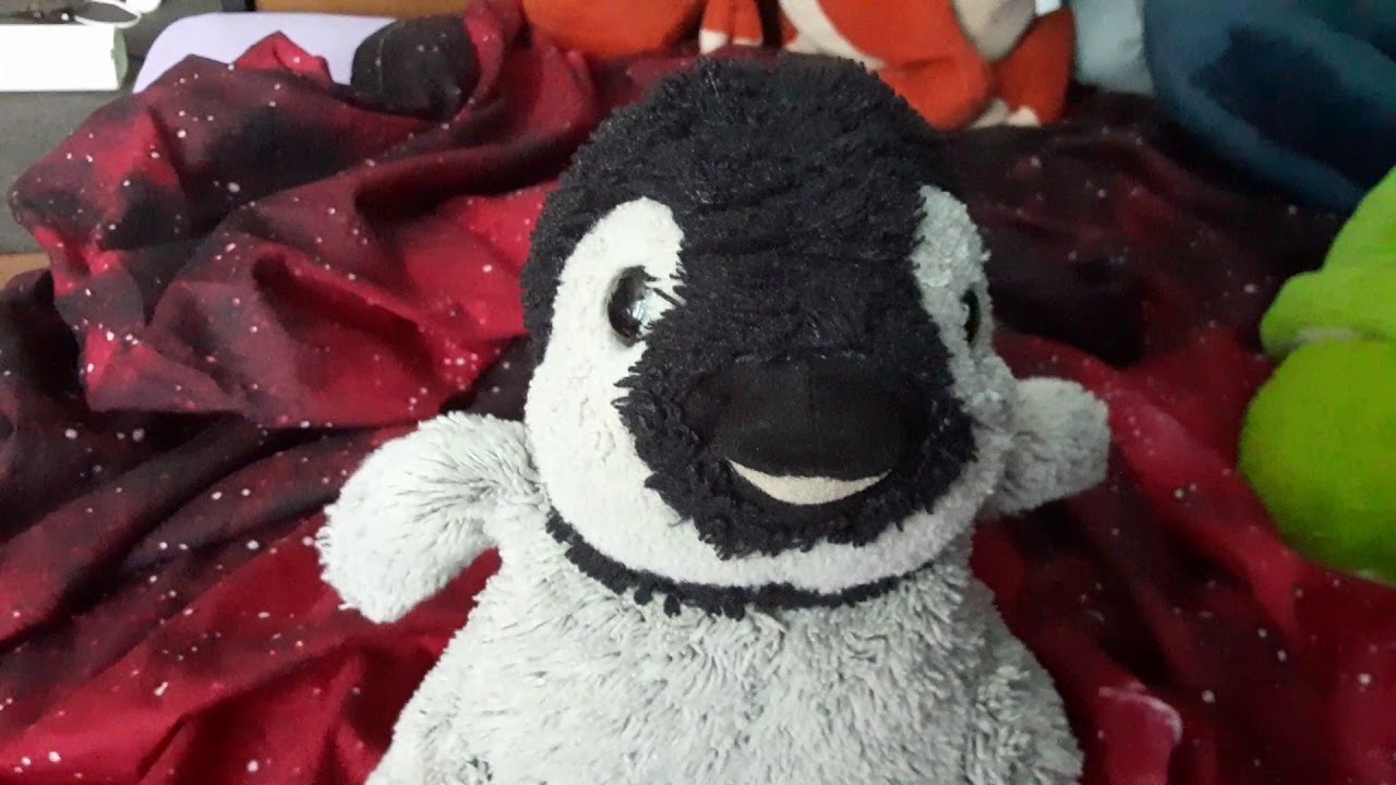 Pengy eats a cookie - YouTube