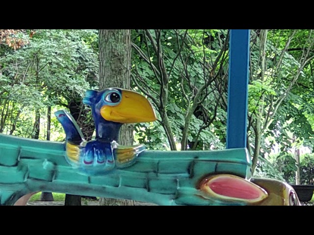 Samsung Galaxy A72 4G, 4K Video Sample (Zoom)