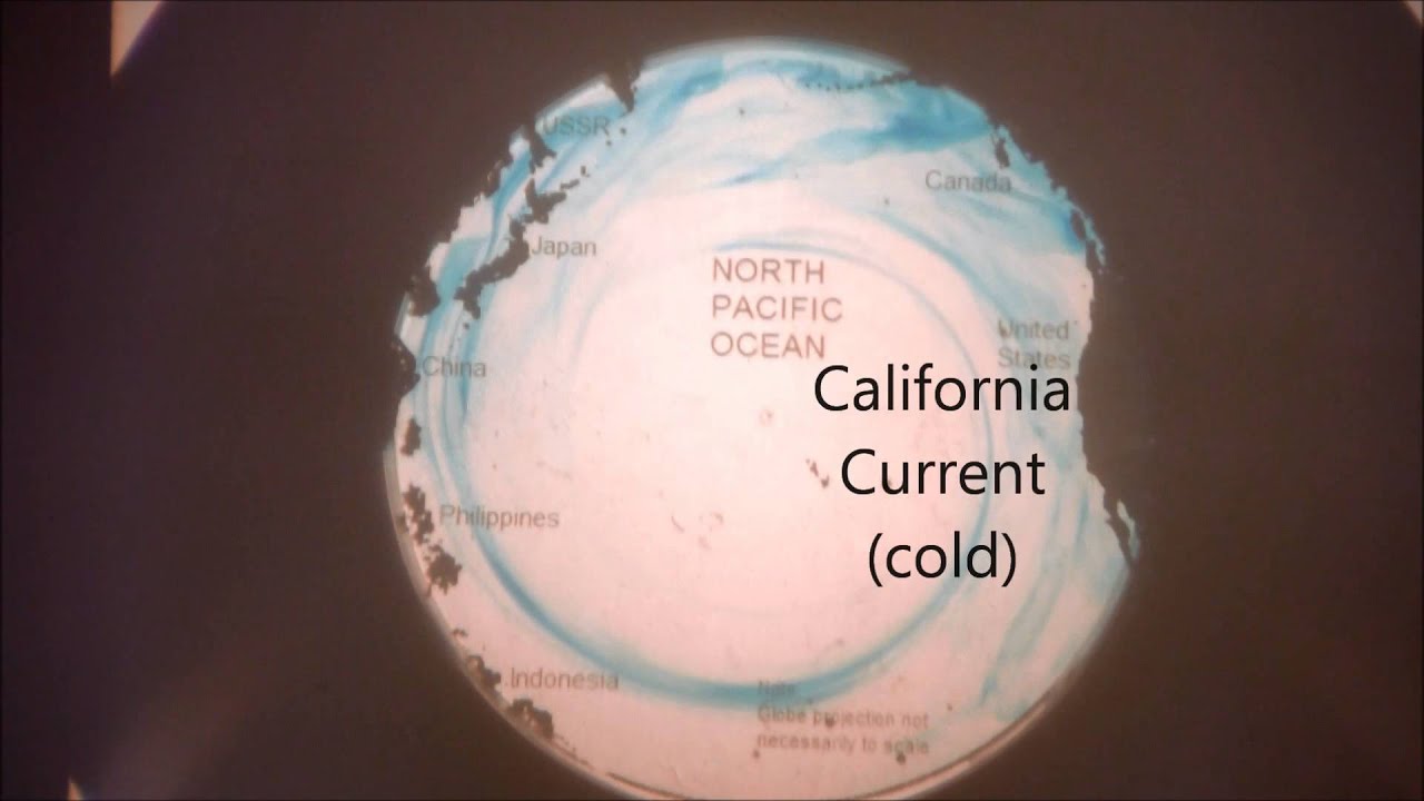 Pacific Ocean Circulation--Go With The Flow! - YouTube