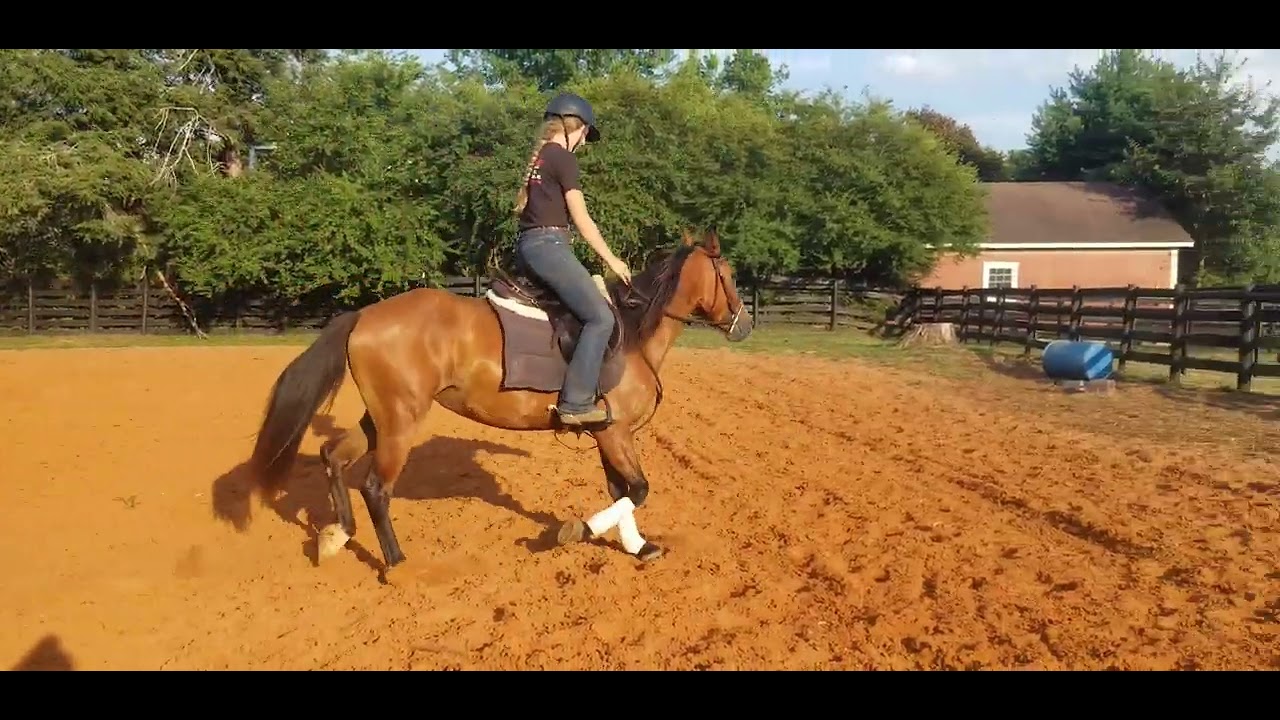 Silly Filly Tries English - YouTube