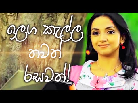 Sri Lankan best advertisement collection 07 | LKAds | Funny videos