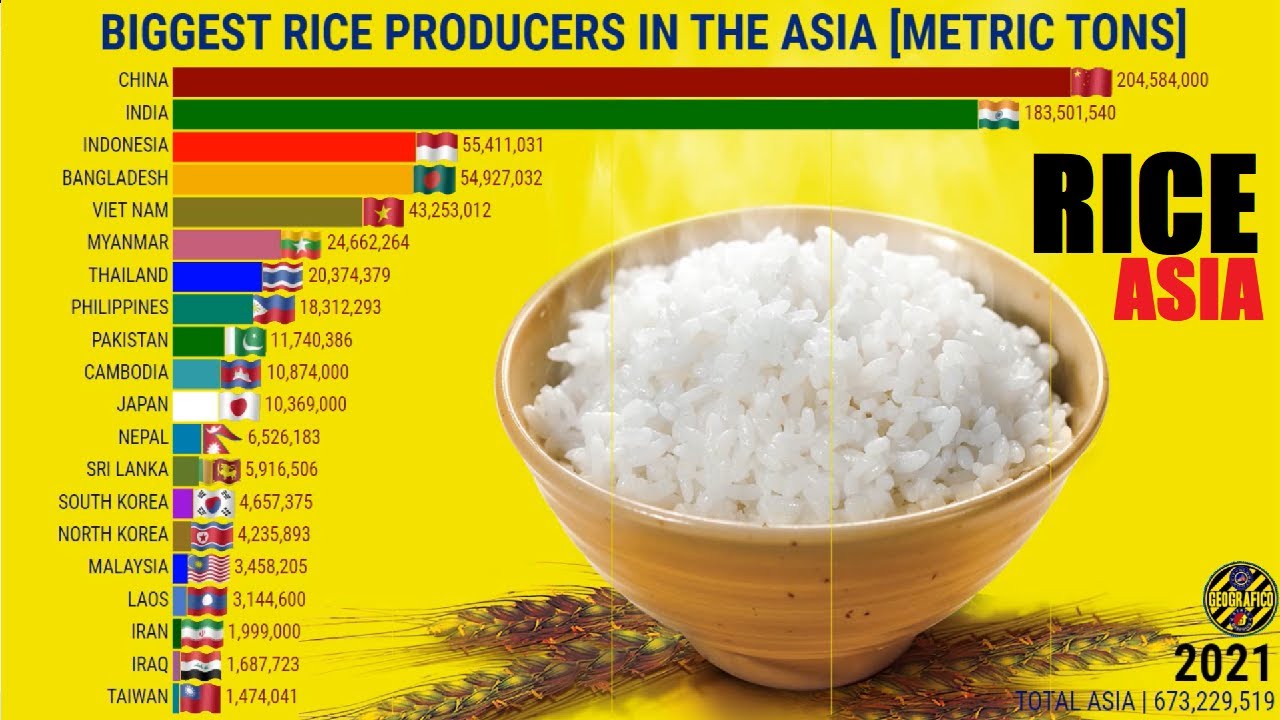 THE LARGEST RICE PRODUCERS IN THE ASIA - YouTube
