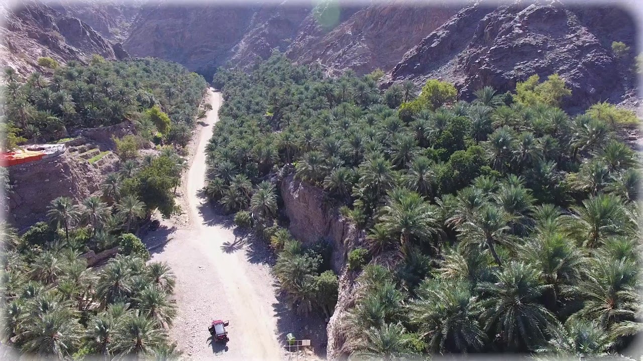 Wadi Shis Farms - YouTube