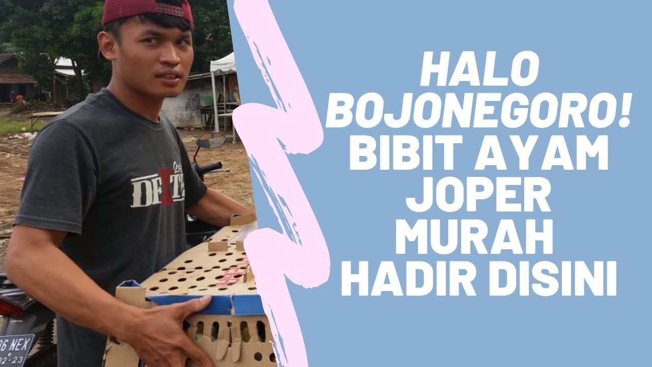Jual Doc Joper Bojonegoro - YouTube