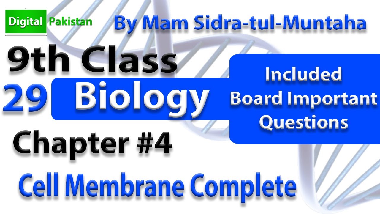 What Is Cell Membrane 9th Class Biology Chapter 4 Cell And what-is-cell-membrane-9th-class-biology-chapter-4-cell-and