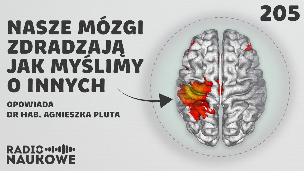 Neuronauka społeczna – mózgi lubią swoich | dr hab. Agnieszka Pluta ...