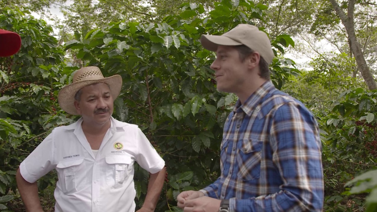 One Tree For Every Bag - Fedecocagua - Starbucks - English 4K - YouTube