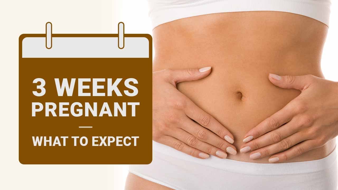3 Weeks Pregnant: What to Expect - YouTube