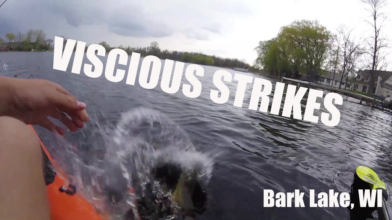 Kayak Fishing VISCOUS Pike (Boat-side Strikes) Bark Lake, WI - YouTube