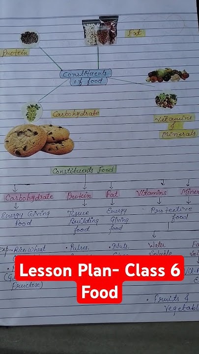Lesson Plan- Class 6 Food #food #science #nutrients #healthyfood - YouTube