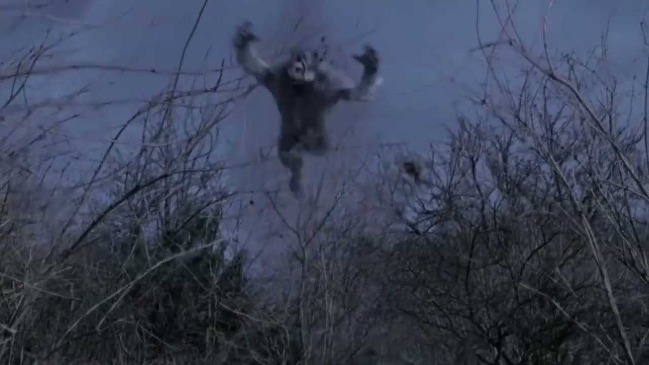 lobisomem pidao - YouTube