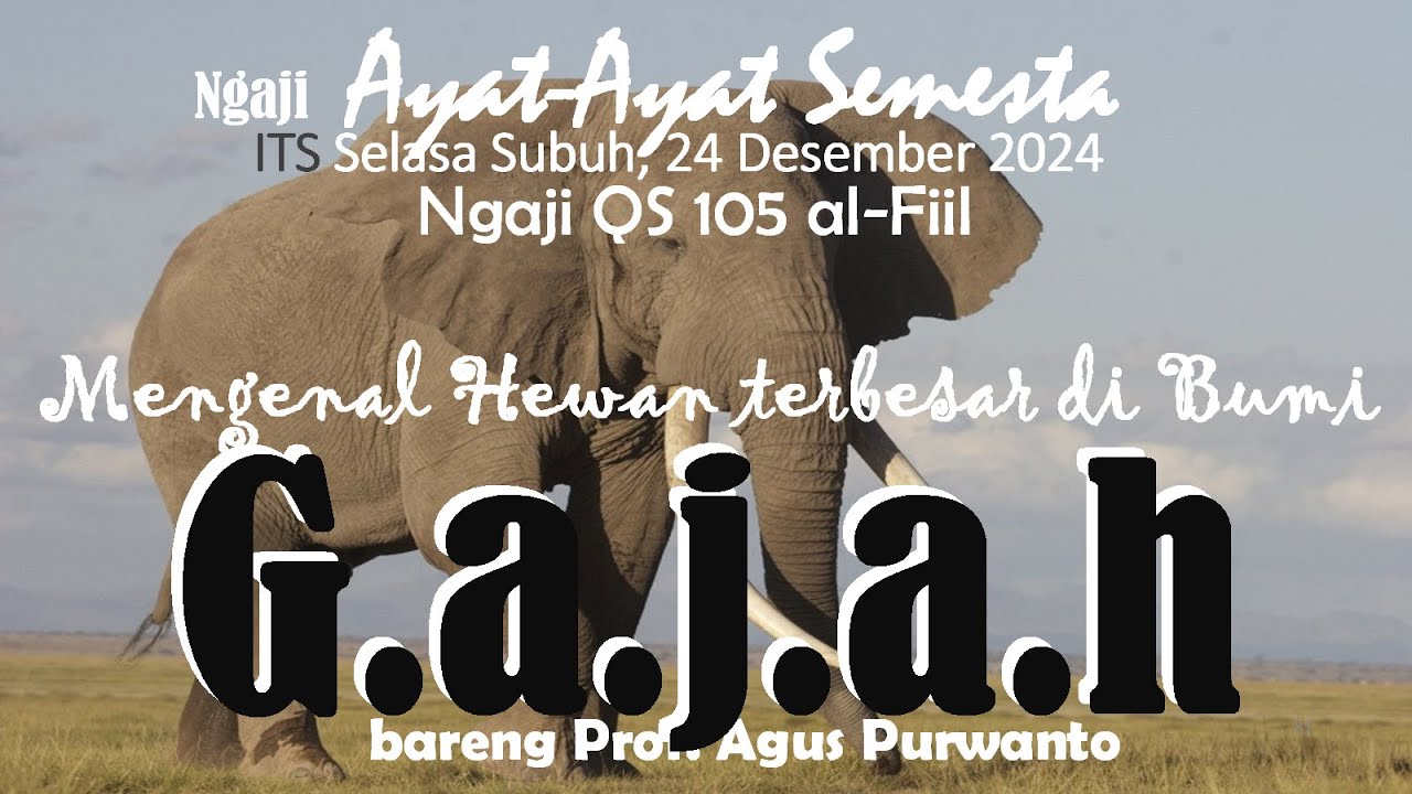 ITS Ngaji AAS Selasa Subuh: QS 105 Mengenal Gajah - YouTube