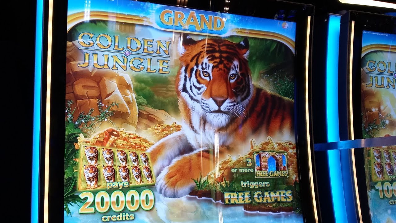 Golden Jungle slot game! 1st attempt,ok win..Boring bonus😜😜! - YouTube