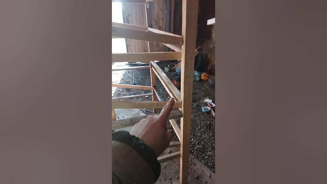 Клетка для перепелов из дерева своими руками. Размеры, этапы выполнения ...