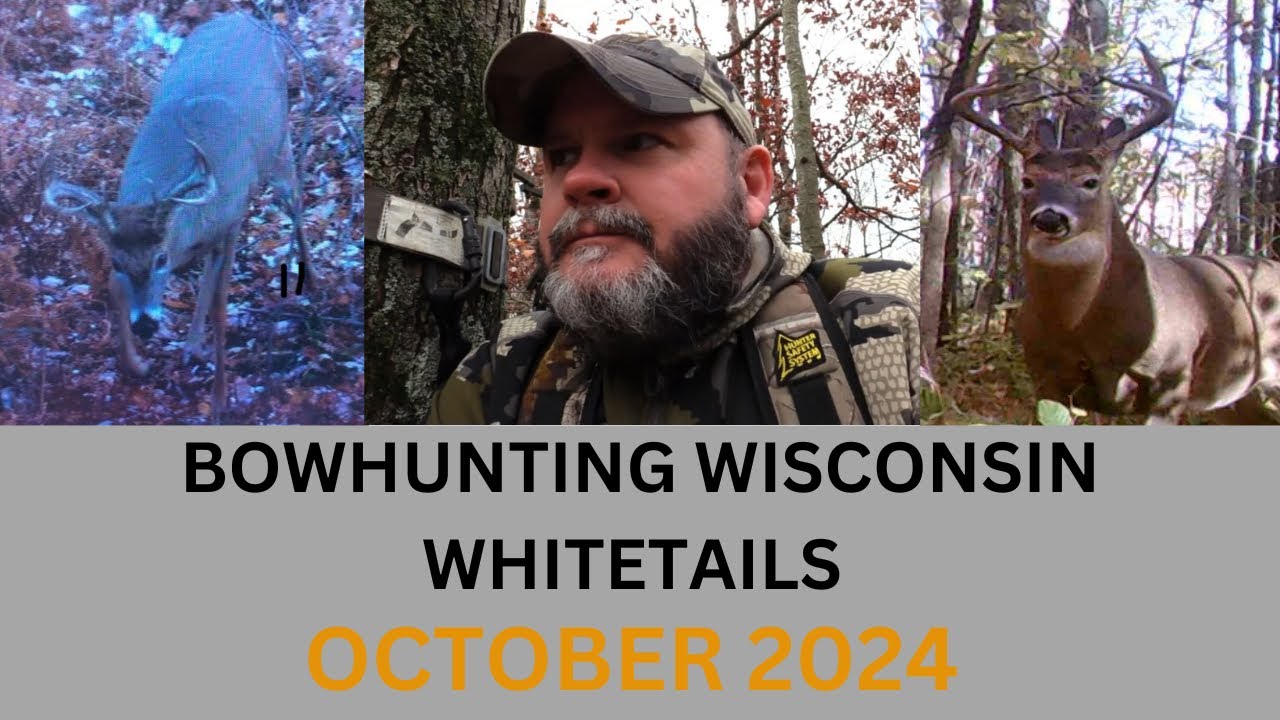 Bowhunting Wisconsin Whitetails October 2024 - YouTube