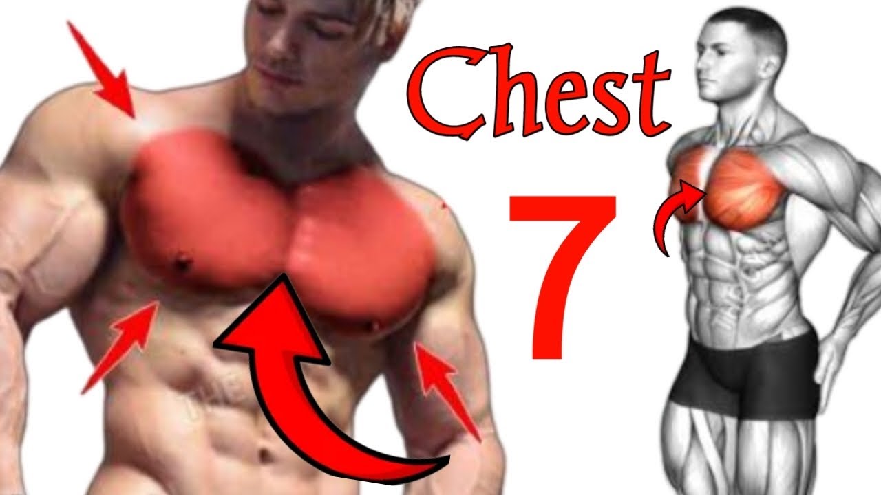 7 Chest Workout Exercise You Need For Mass _ Chest Exercise || My The ...