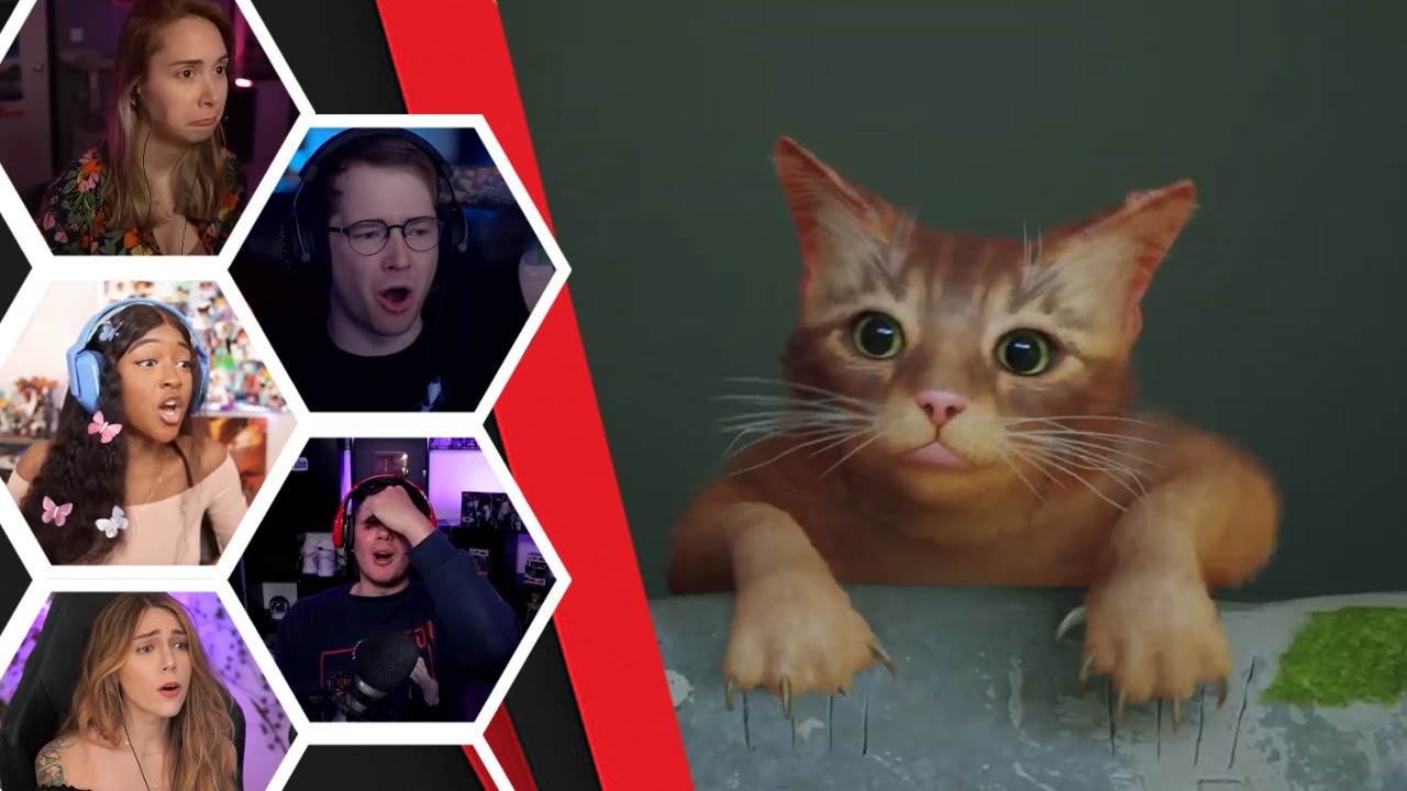 Lets Player's Reaction To The Cat Falling And Limping - Stray - YouTube