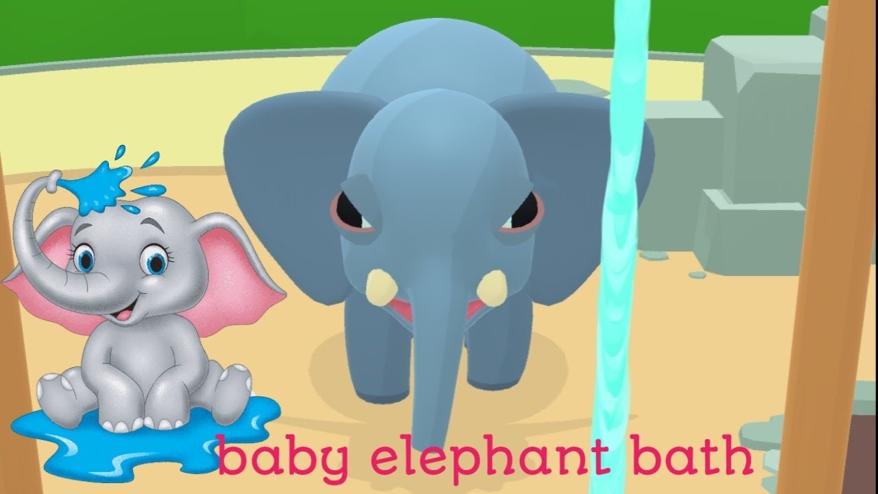 Baby elephant bath in the zoo - YouTube