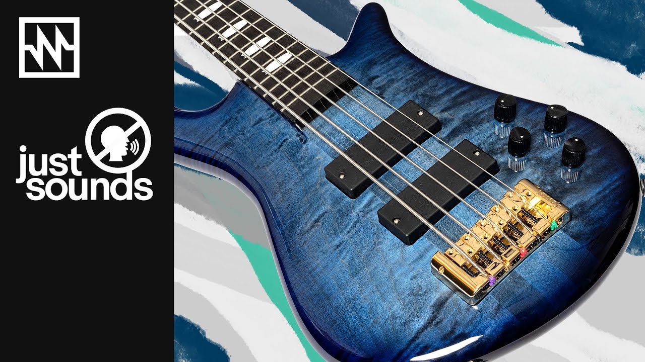 Just Sounds: Spector Euro LT 5 String Bass with Darkglass Electronics ...