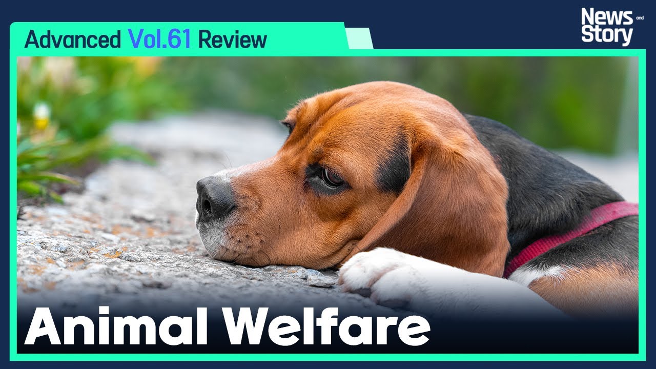[Vol.61_Unit 20] Animal Welfare (Review) - YouTube