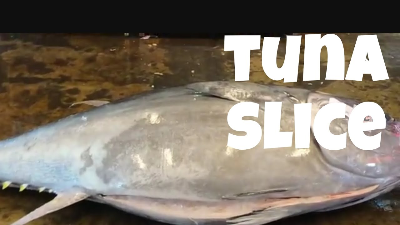 SLICE TUNA.PANINDA KO.#ohyeahvlogs - YouTube