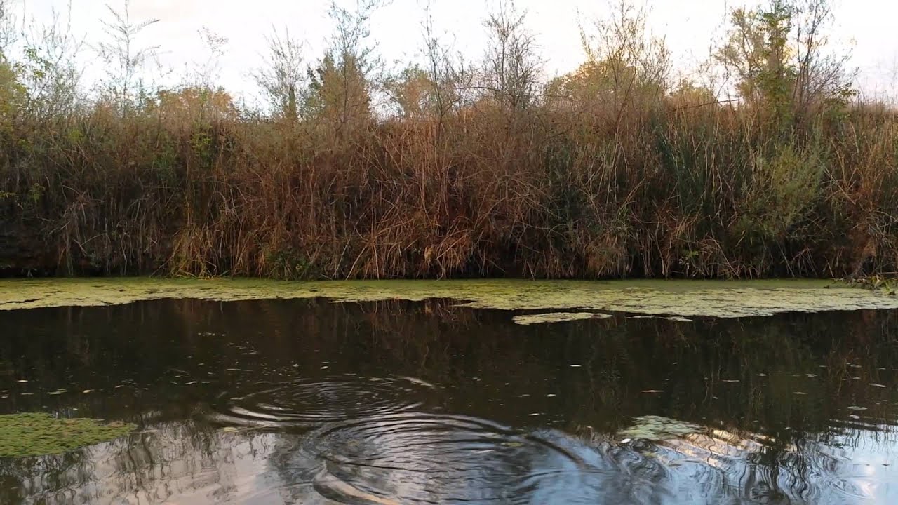 Instant frog explosion Ca Delta - YouTube