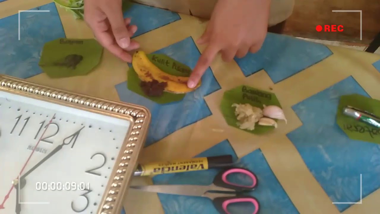 Biobaterai dari bayam, kulit pisang, dan bawang putih - YouTube