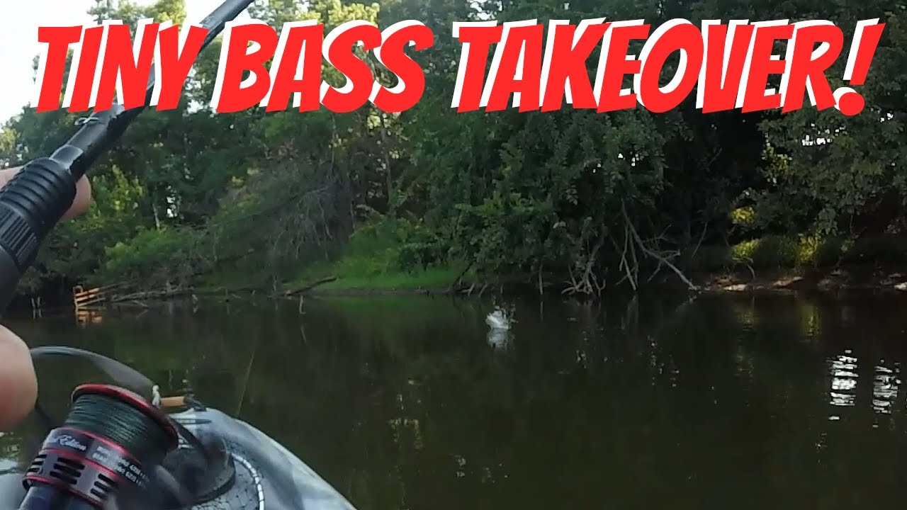 Family Camping With LOTS Of Tiny Bass! - YouTube