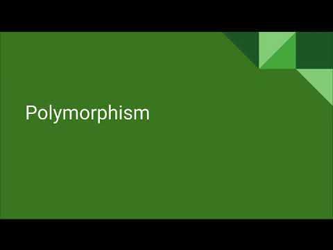 AP CS A Unit 9 Lesson 6 - Polymorphism - YouTube