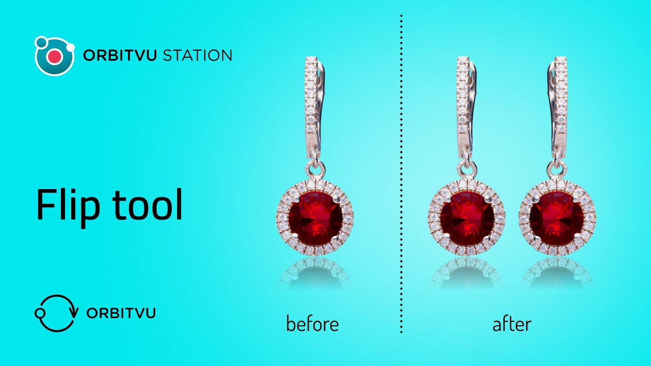 How to do: Flip tool I Orbitvu Station Software - YouTube
