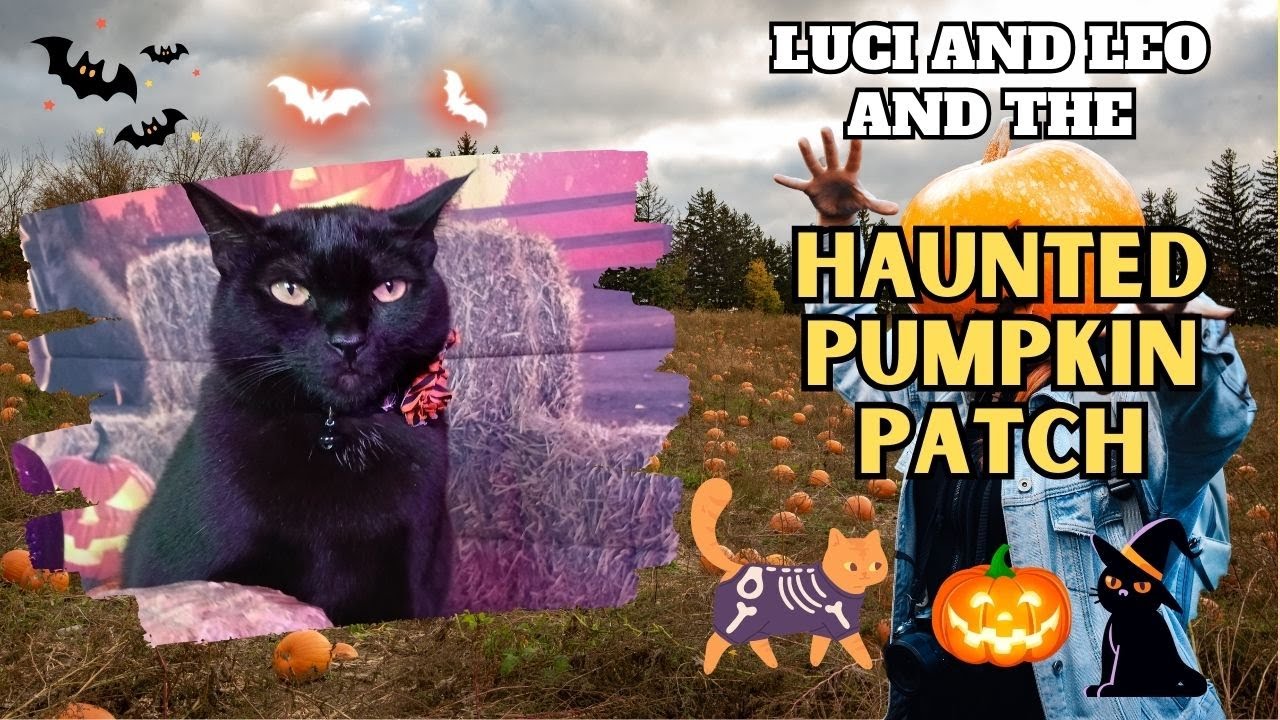 Luci and Leo And The Haunted Pumpkin Patch - YouTube