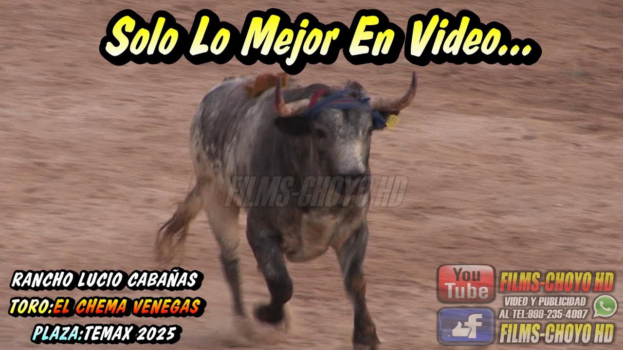 TORO EL CHEMA VENEGAS EN EL DUELO DE GANADERIAS DE TEMAX YUCATAN MARTES ...