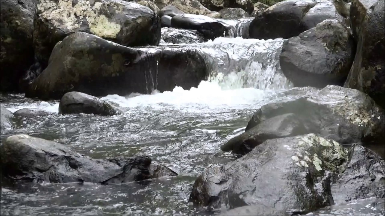 Gentle Stream, nature sound, relaxing water South Pacific Island Stream ...