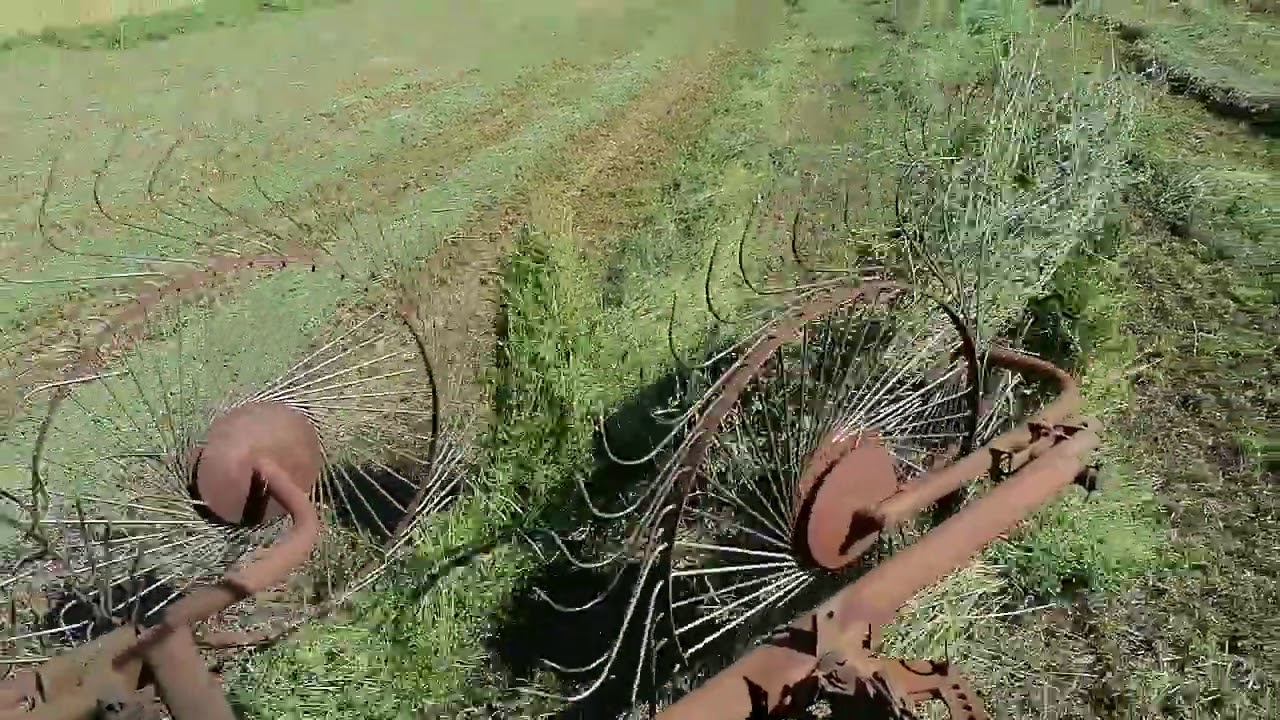 Yto 454 I imt sunce prevrtanje lucerke - YouTube