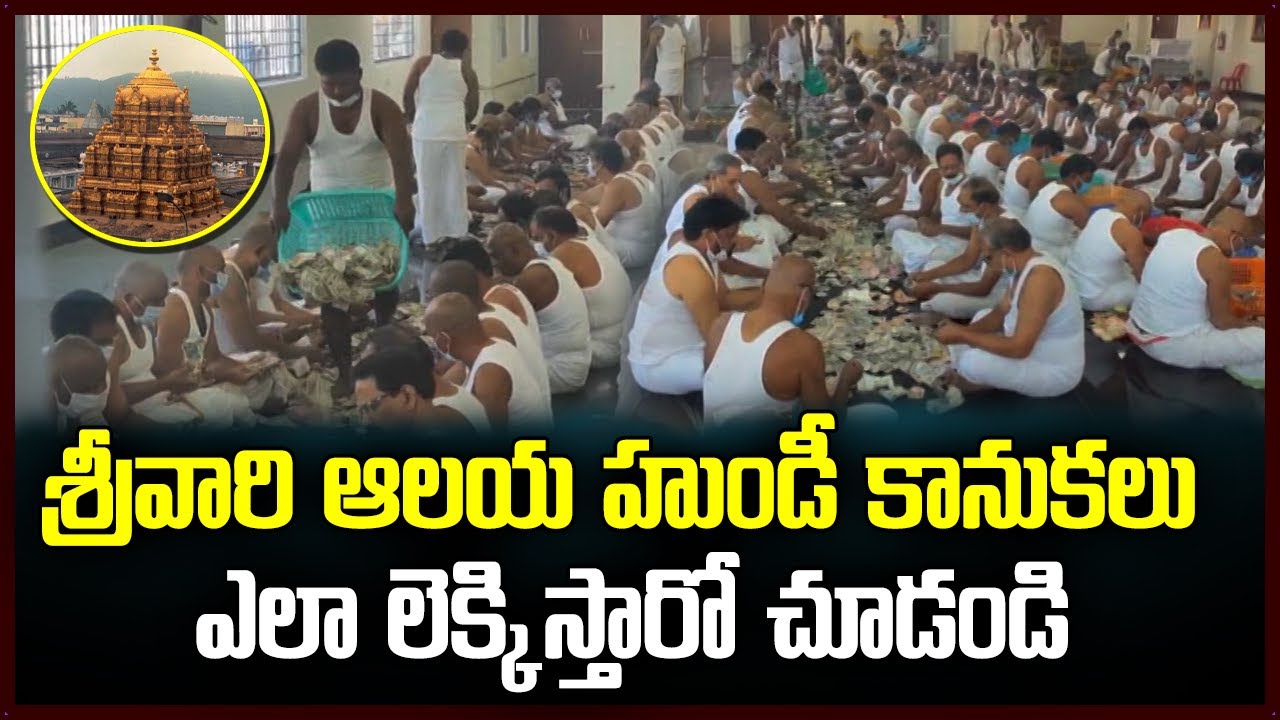 Tirumala srivari temple hundi collections counting | TIrumala | Samayam ...