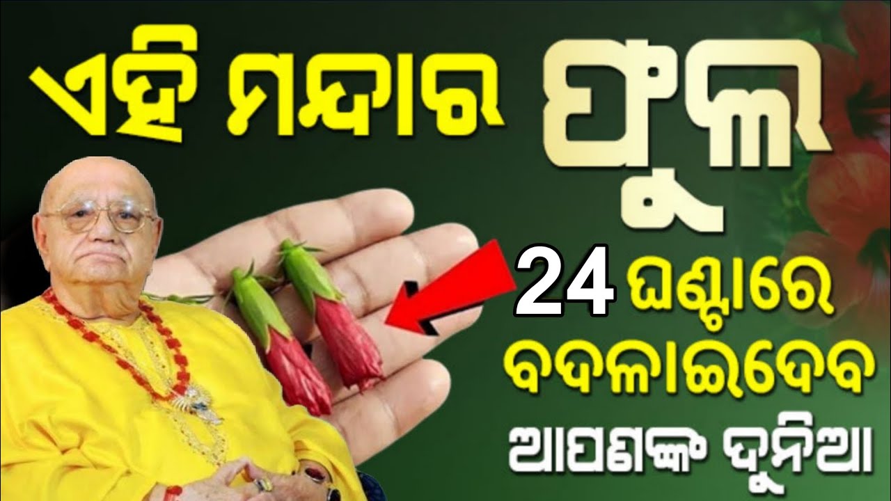 mandara fula upakarita। astrology tips । hibiscus flower benifits ...